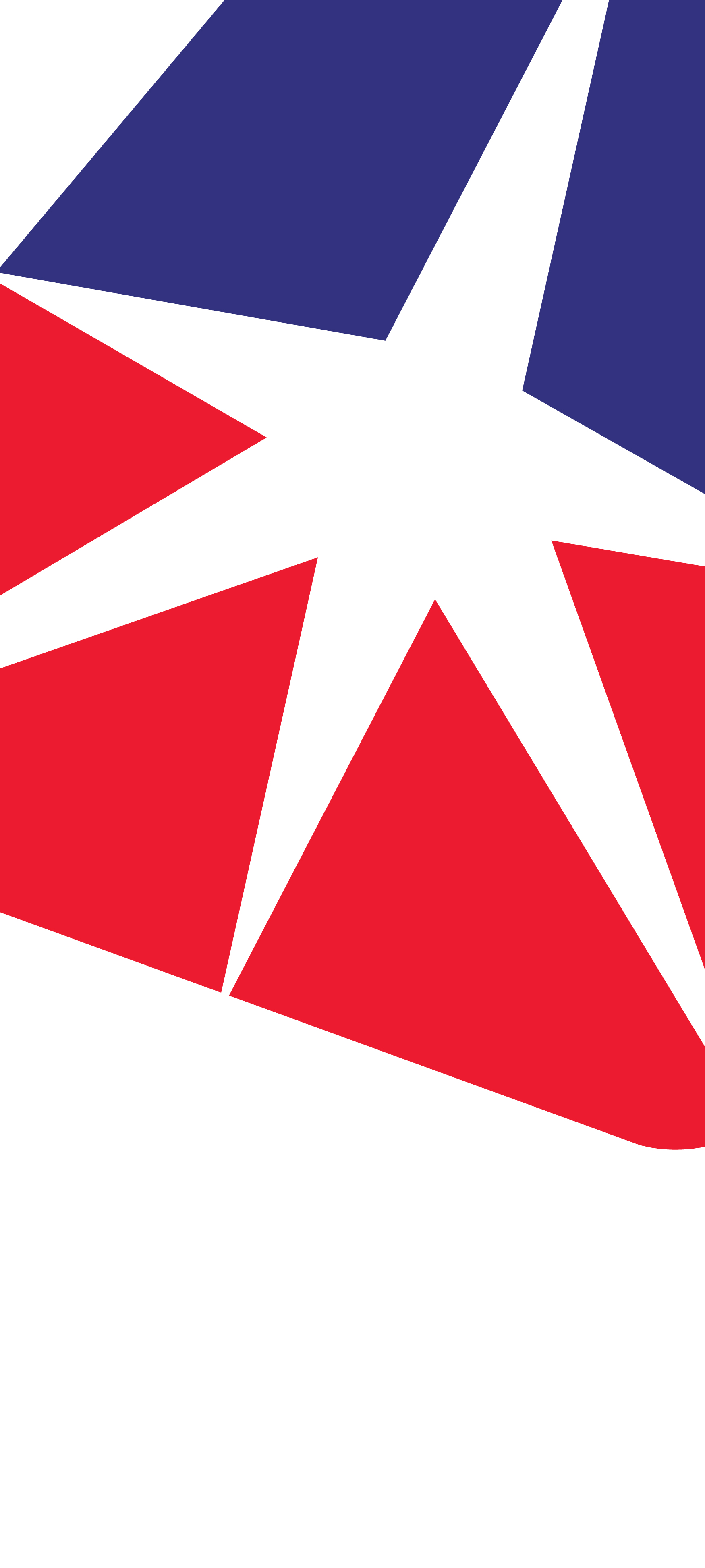 Wipeout — The Designers Republic™