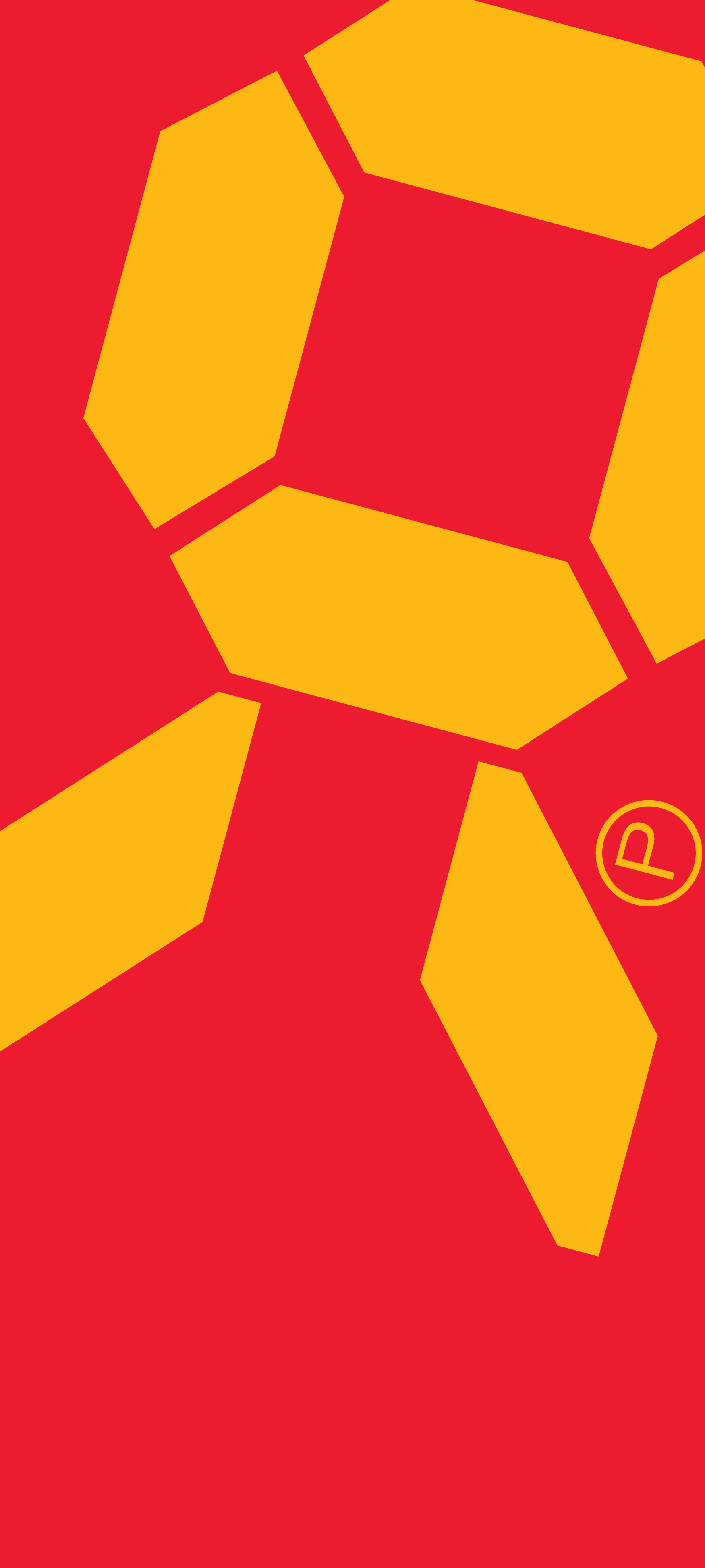 Wipeout — The Designers Republic™